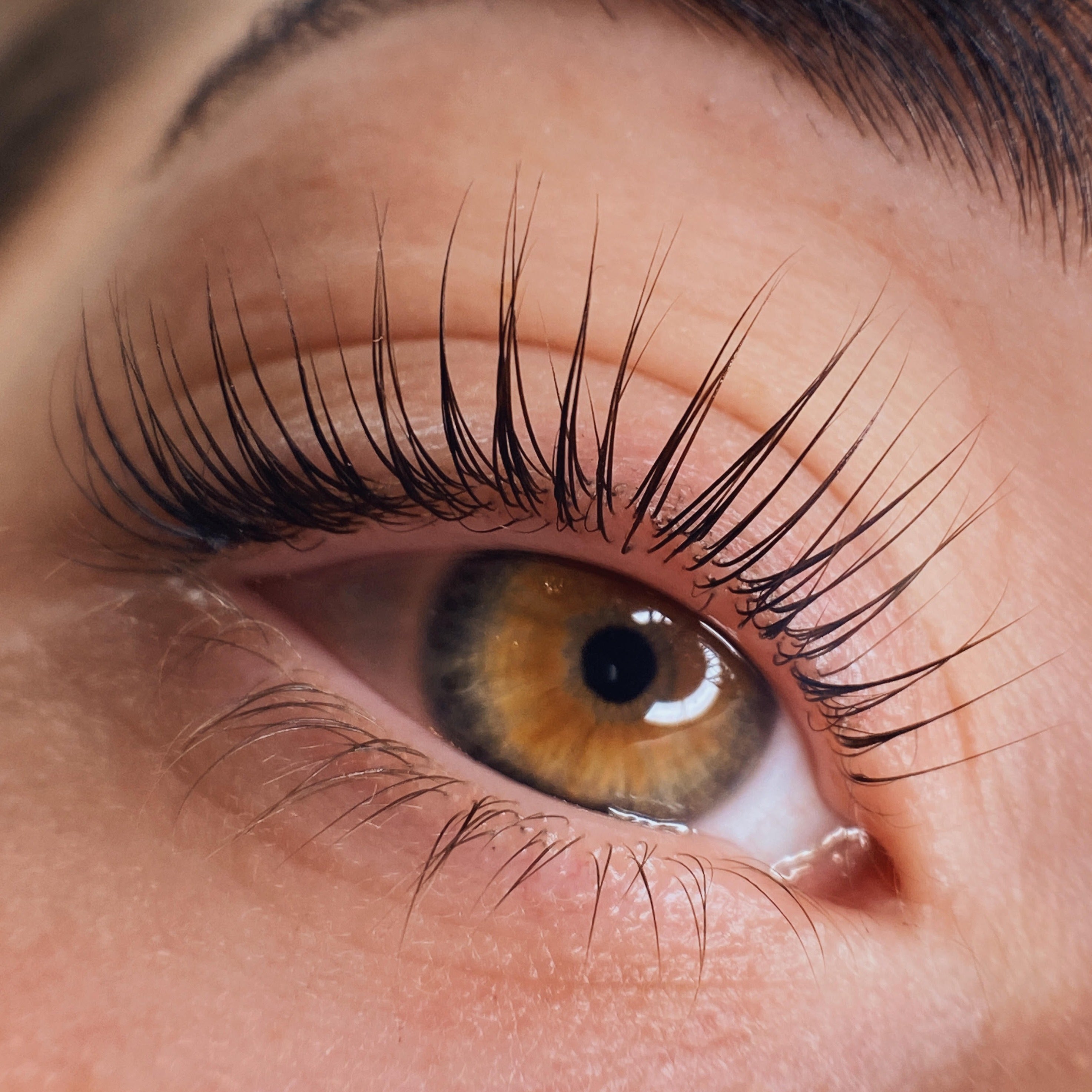 Lash lifting – Perfection Elements